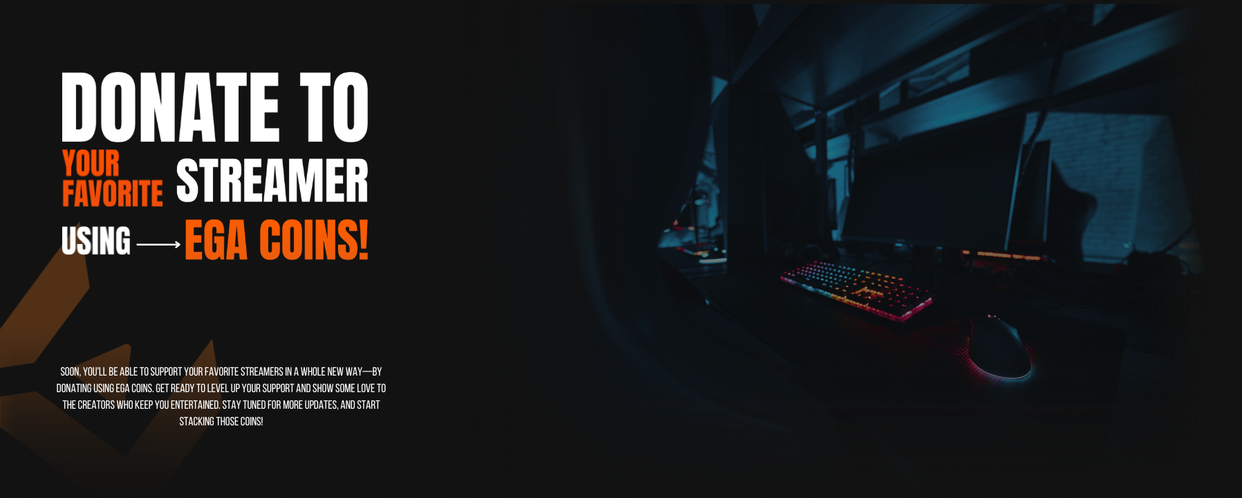 Streamers - Electronic Games Arena